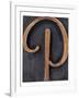 'Ornamental Letter P - Script Font - Isolated Letterpress Wood Type ...