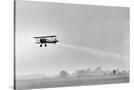 Plane Taking off for DDT Dispersal Flight Photographic Print ...