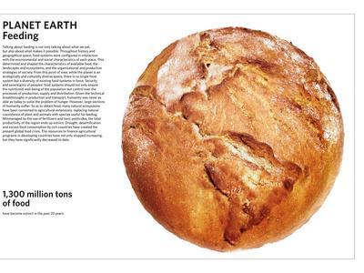 PLANET EARTH Feeding. Photographic Print | AllPosters.com