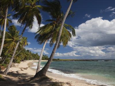 'Playa El Frances Beach, El Frances, Samana Peninsula, Dominican ...