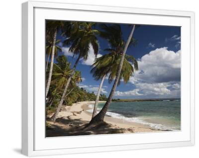 'Playa El Frances Beach, El Frances, Samana Peninsula, Dominican ...