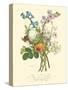 'Plentiful Bouquet IV' Prints - T.L. Prevost | AllPosters.com