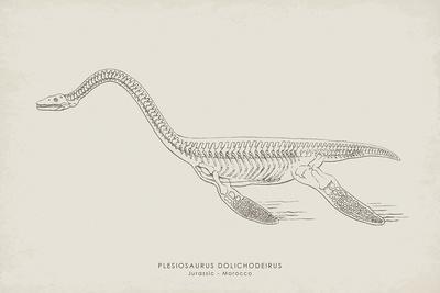 'Plesiosaurus' Giclee Print - The Vintage Collection | AllPosters.com