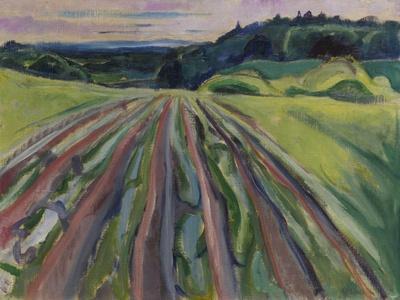 'Ploughed field, 1916' Giclee Print | AllPosters.com