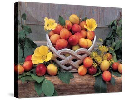 'Plum Still Life' Stretched Canvas Print | AllPosters.com