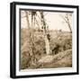 'Point of Rocks, Virginia (vicinity). Federal camp' Photo | AllPosters.com