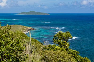 'Point Udall with Buck Island in background, St. Croix, US Virgin ...