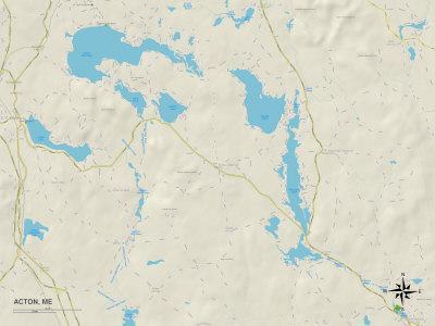 'Political Map of Acton, ME' Posters | AllPosters.com