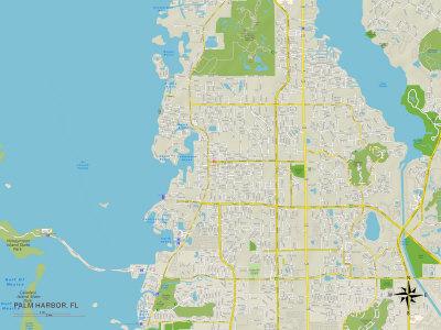 'Political Map of Palm Harbor, FL' Poster | AllPosters.com