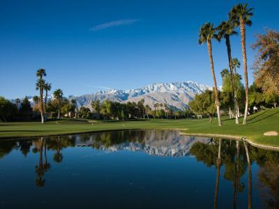 'Pond in a Golf Course, Desert Princess Country Club, Palm Springs ...