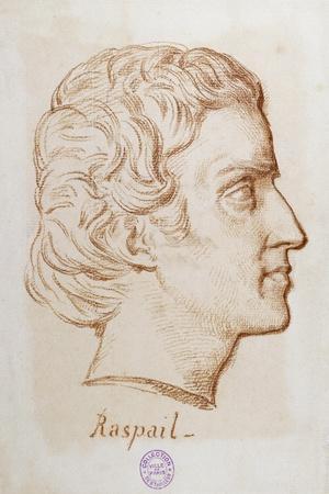 'Portrait of Francois-Vincent Raspail' Giclee Print | AllPosters.com