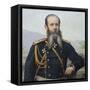 'Portrait of General Count Iosif Vladimirovich Romeyko-Gurko (1828-1901 ...