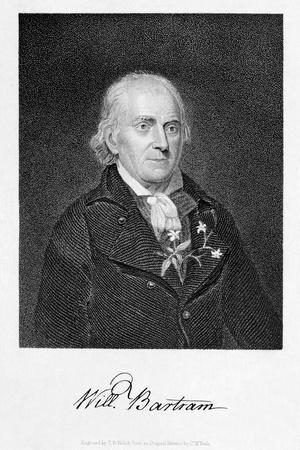 'Portrait of Naturalist William Bartram' Giclee Print | AllPosters.com