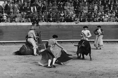 'Portuguese Bullfight' Photographic Print | AllPosters.com