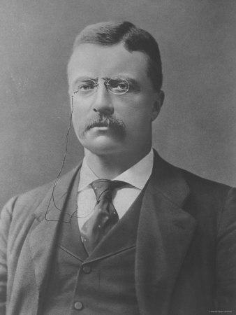 'Postcard of Theodore Roosevelt 26th President of the U.S' Premium ...
