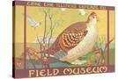 'Poster for Field Museum with Quail' Giclee Print | AllPosters.com