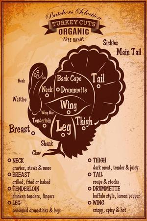 'Poster with A Detailed Diagram of Butchering Turkey' Prints ...