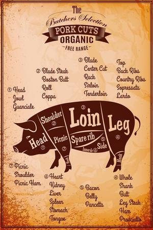 'Poster with Detailed Diagram Cutting Pork' Posters - 111chemodan111 ...