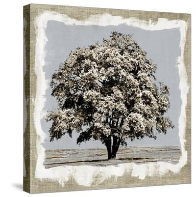 'Prairie Field' Stretched Canvas Print - Mark Chandon | AllPosters.com