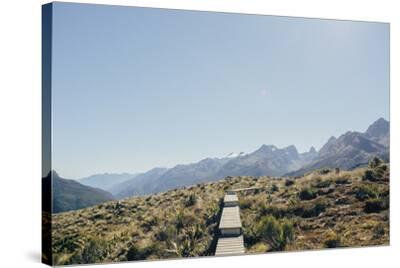 'Prairie Path' Stretched Canvas Print - Florian Schleinig | AllPosters.com