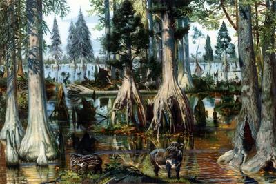 'Prehistoric, Eocene Landscape' Giclee Print - Science Source ...