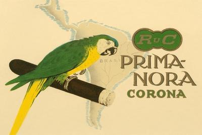 'Prima-Nora Cigar Label, Parrot' Poster | AllPosters.com