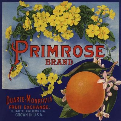 'Primrose Brand - Duarte, California - Citrus Crate Label' Art ...
