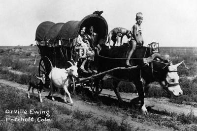 'Pritchett, Colorado - Orville Ewing; Covered Wagon Scene' Print ...
