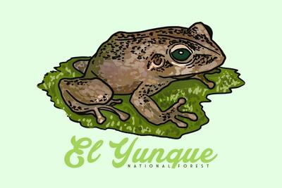 'Puerto Rico - Dwarf Coqui - El Yunque National Forest - Green ...