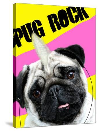 'Pug Rock Portrait' Stretched Canvas Print - Noah Bay | AllPosters.com