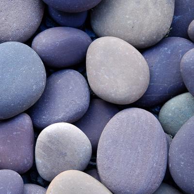 'Purple Pebbles' Photographic Print | AllPosters.com
