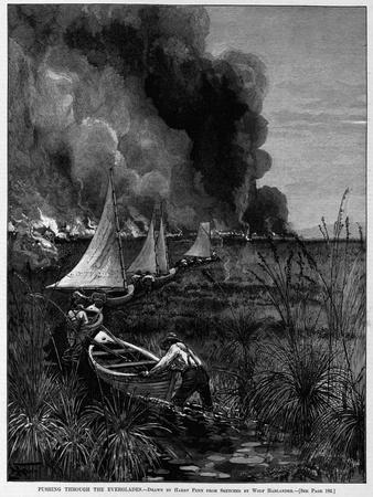'Pushing through the Everglades. Drawn by Harry Fenn from Sketches by Ward Harlander. See Page ...