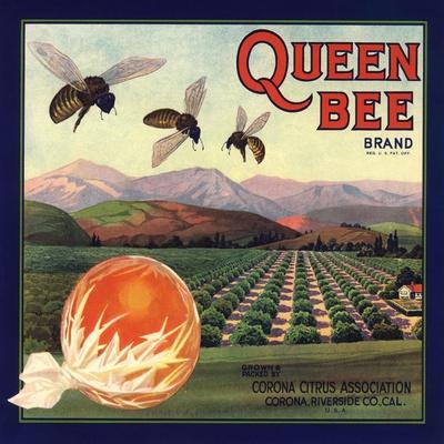 'Queen Bee Brand - Corona, California - Citrus Crate Label' Posters ...