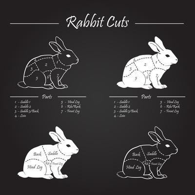 'Rabbit Meat Cuts Scheme - Chalkboard' Posters - ONiONAstudio ...