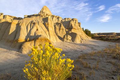 'Rabbitbrush and Badlands, Theodore Roosevelt NP, North Dakota, USA ...