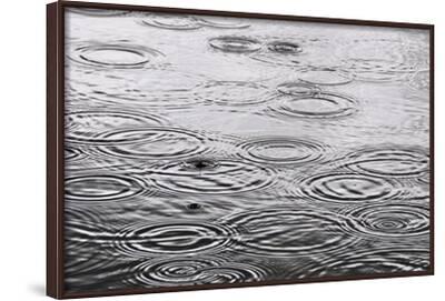 'Raindrops On The Water Surface' Posters - Dutourdumonde | AllPosters.com
