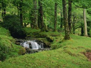 Rainford Roy Posters, Prints, Paintings & Wall Art for Sale ...