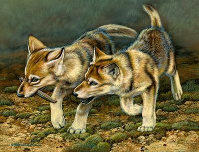 'The Chase - Wolf Puppies' Posters - Rebecca Latham | AllPosters.com