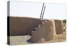 Reconstitution of a Kiva with a Ladder to Enter, Tiguex (Kuaua Pueblo ...