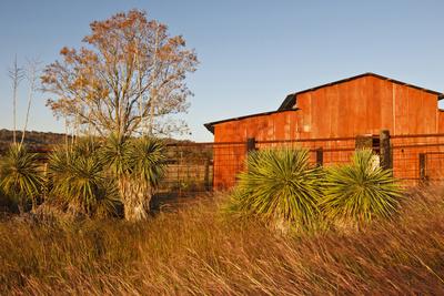'Red Barn in Texas Hill Country, USA' Photographic Print - Larry Ditto ...