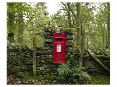 'Red Forest Post Box Cumbria Uk' Premium Giclee Print | AllPosters.com