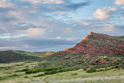 'Red Mountain Open Space in Northern Colorado near Fort Collins, Summer ...