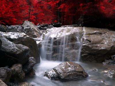 'Red Vision' Photographic Print - Philippe Sainte-Laudy | AllPosters.com
