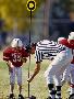 'Referee Measuring for a First Down During a During a Pee Wee Football ...