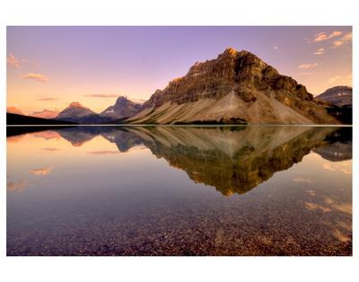 'Reflection' Posters | AllPosters.com