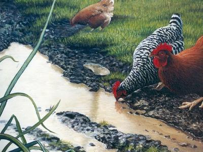 'Reflections of Spring' Giclee Print - Kevin Dodds | AllPosters.com