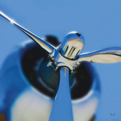 Propeller Series 2 Prints - Renel Peters | AllPosters.com
