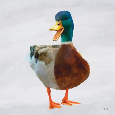 'Squawking Duck 1' Prints - Renel Peters | AllPosters.com