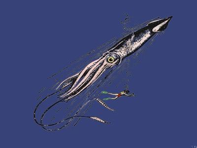 'Representation of a Giant Squid (Architeuthys) on the Human Scale ...