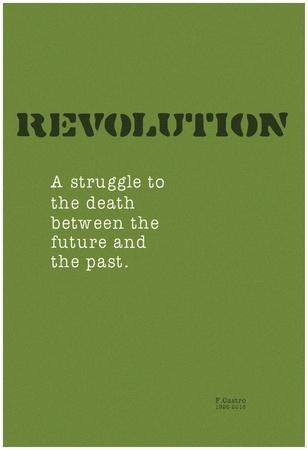 'Revolution Definition' Photo | AllPosters.com